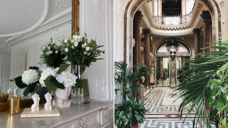 Best Plants & Flowers To Decorate Your Home Like A Parisian