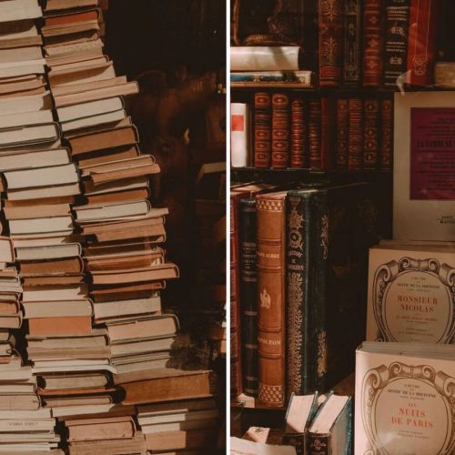 The 30 Best Classic French Books of All Time - Leonce Chenal