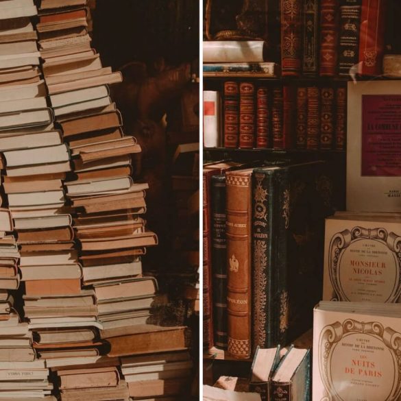 The 30 Best Classic French Books of All Time - Leonce Chenal